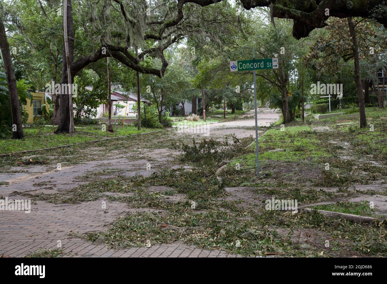 Hurricane Irma damage in historic downtown Lake Eola Heights, Orlando ...