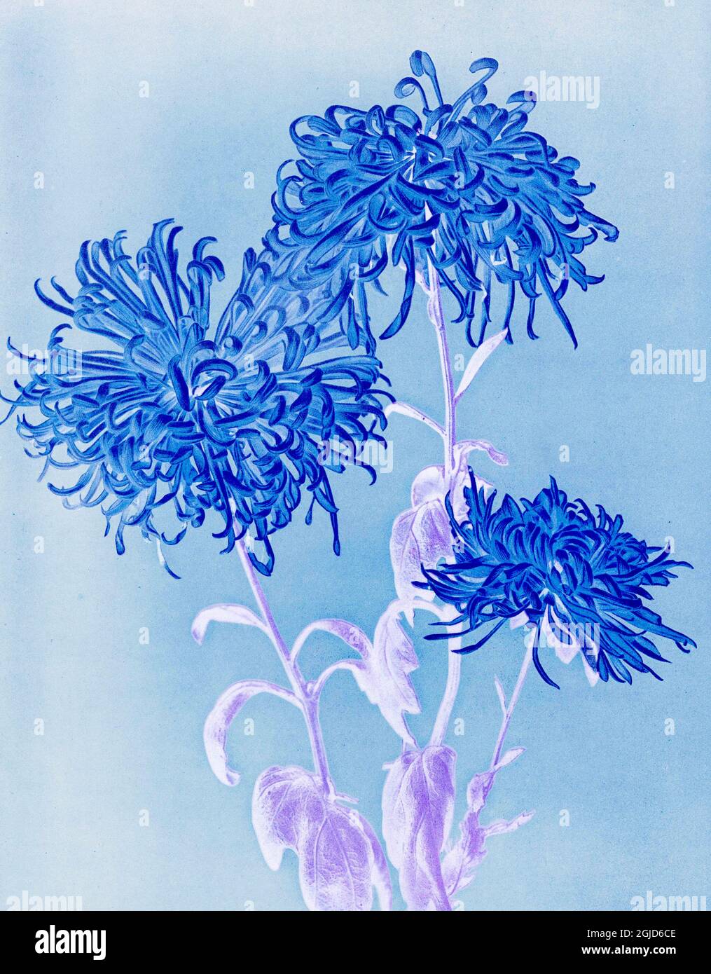 Colour inversion artwork hi-res stock photography and images - Alamy