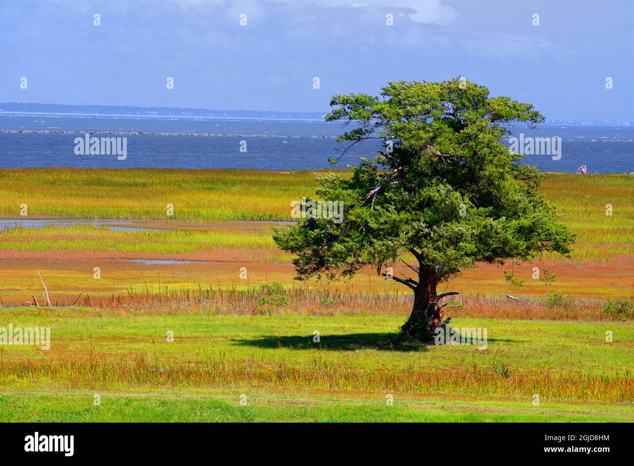 Anna marsh hi-res stock photography and images - Alamy