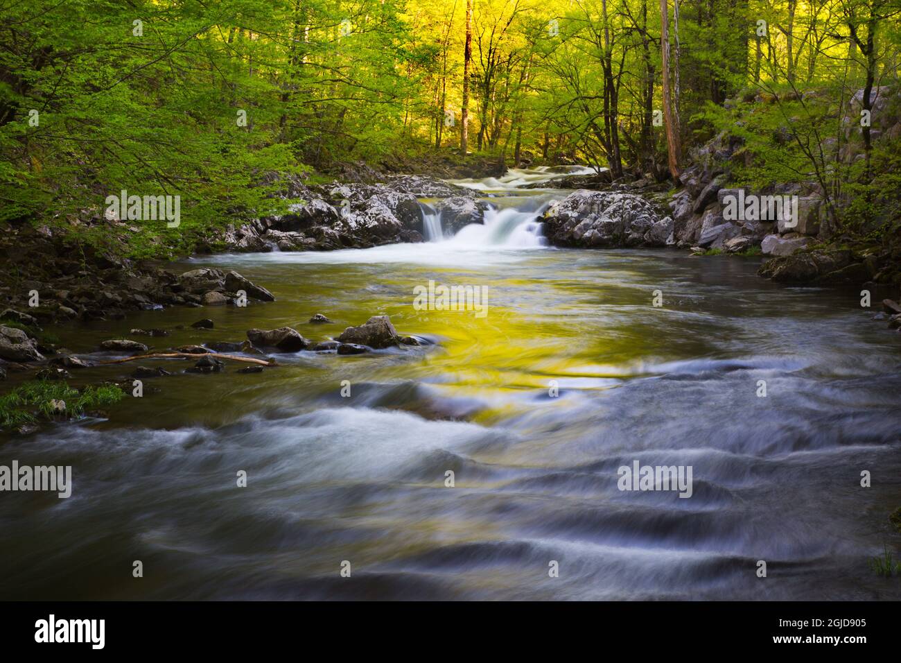 USA, Tennessee. Great Smoky Mountains National Park, Little River Stock ...