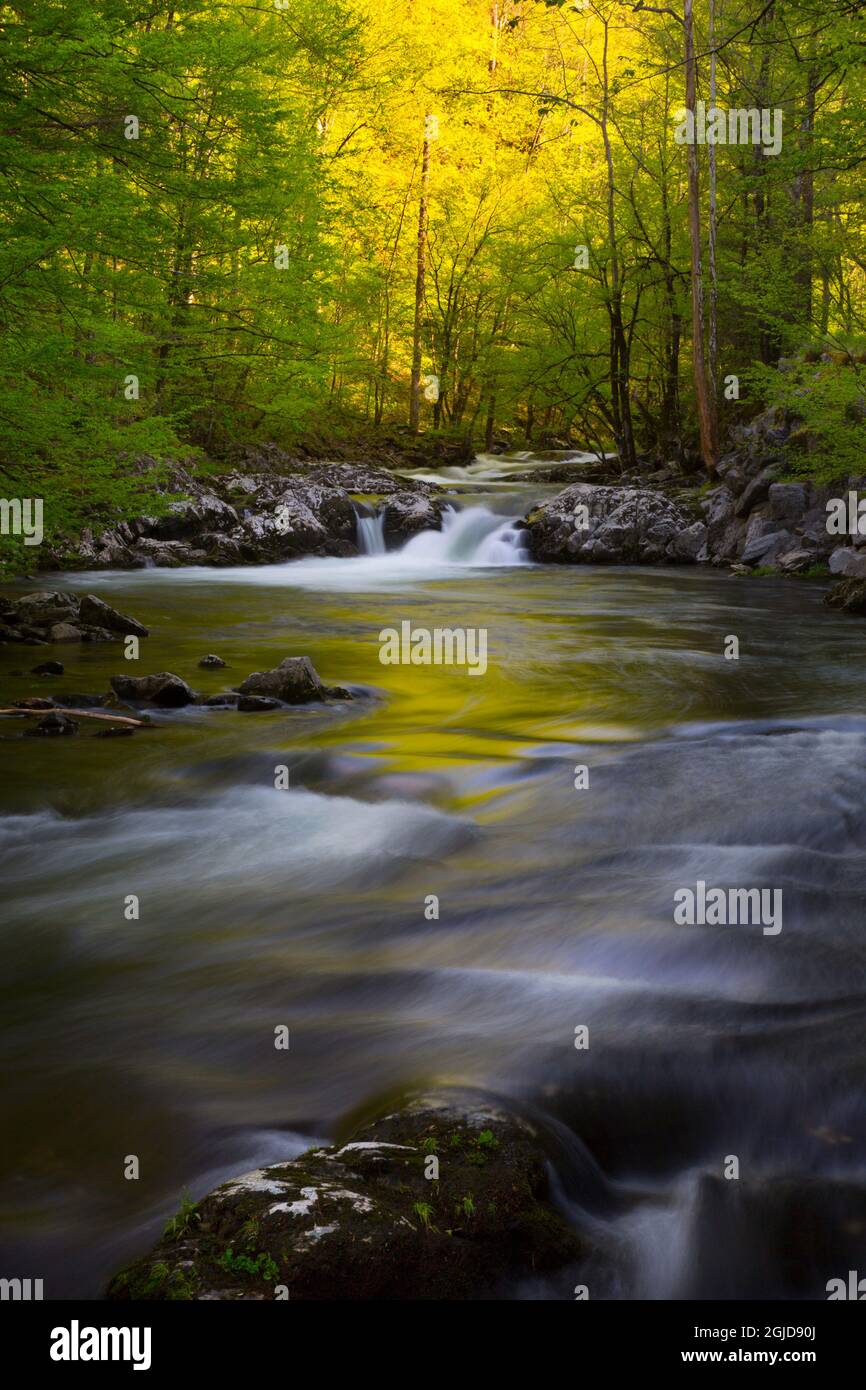 USA, Tennessee. Great Smoky Mountains National Park, Little River Stock ...