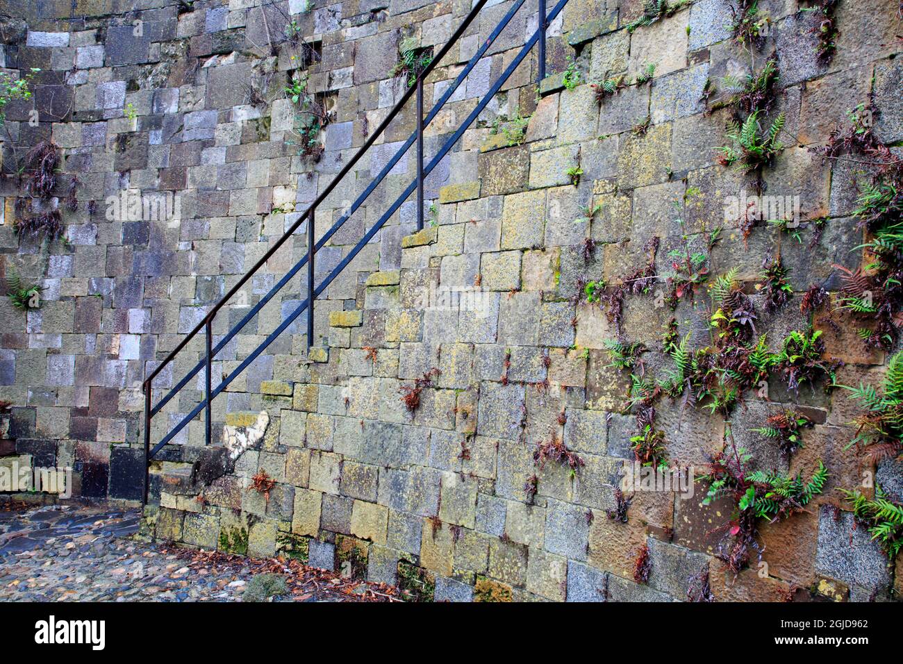 USA, Georgia, Savannah, Old stone steps along River Street Stock Photo ...