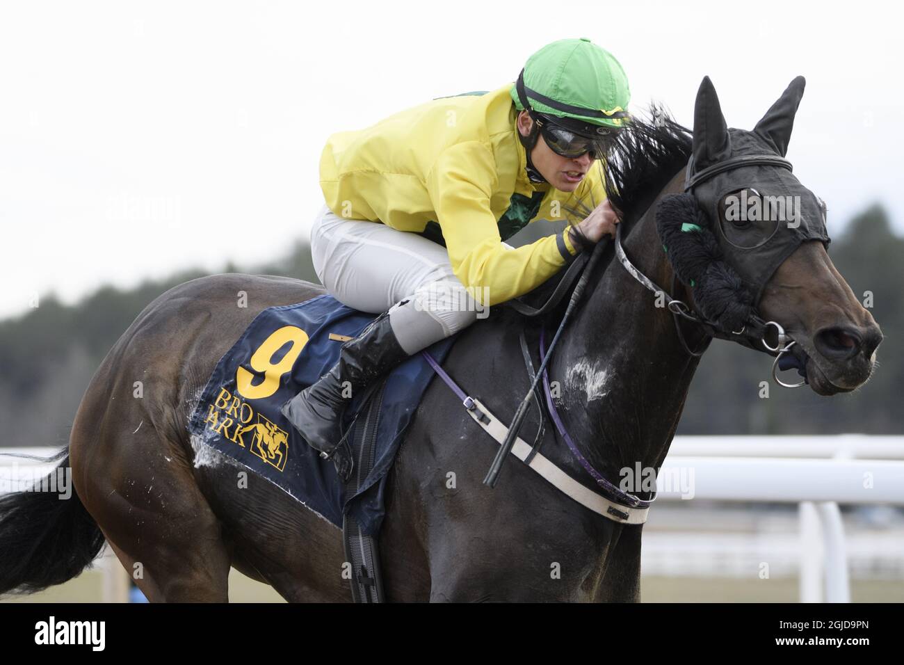 1600 meter hi-res stock photography and images - Alamy