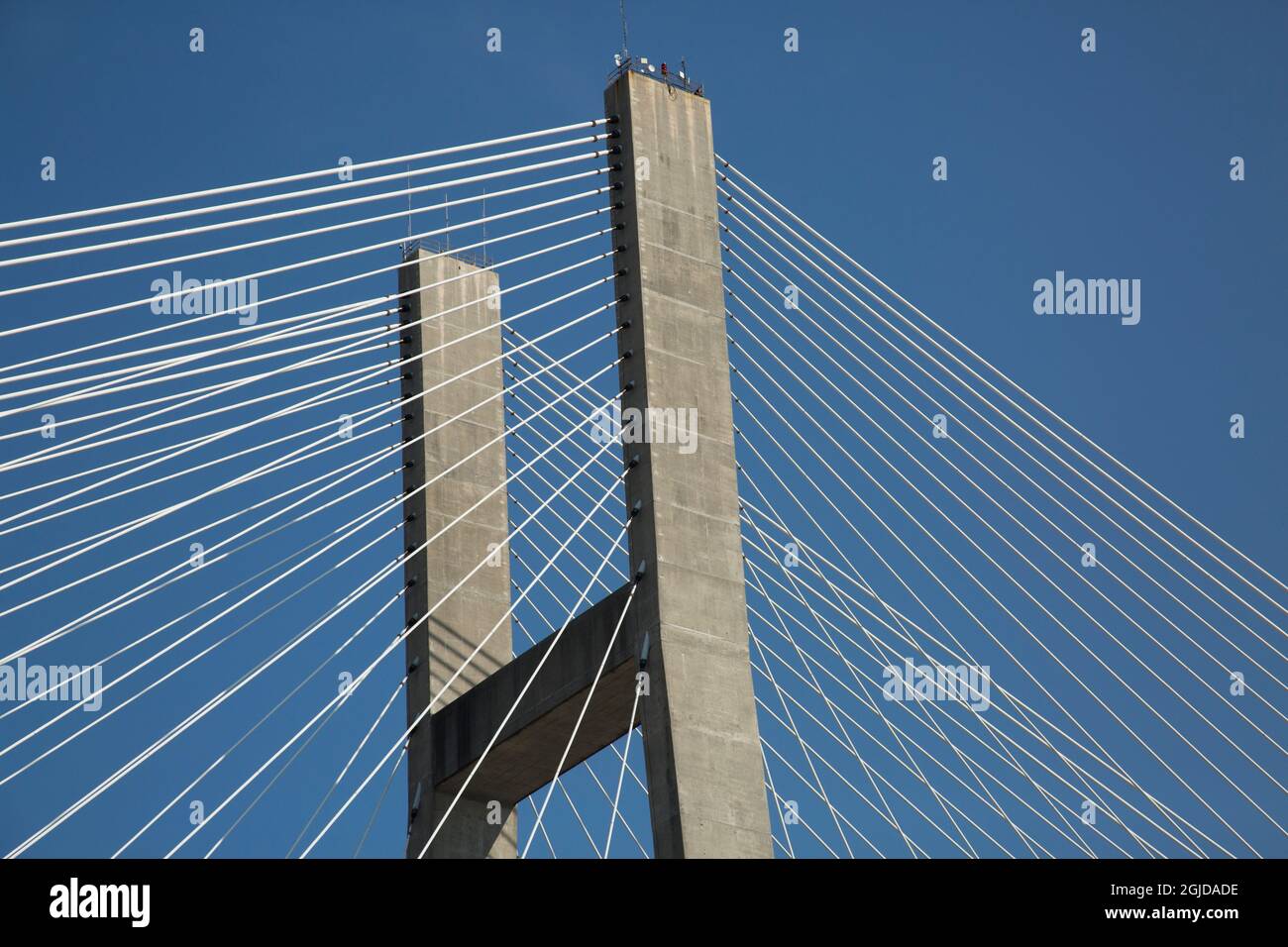 USA, Georgia, Savannah. Cable bridge crossing the Savannah River Stock ...