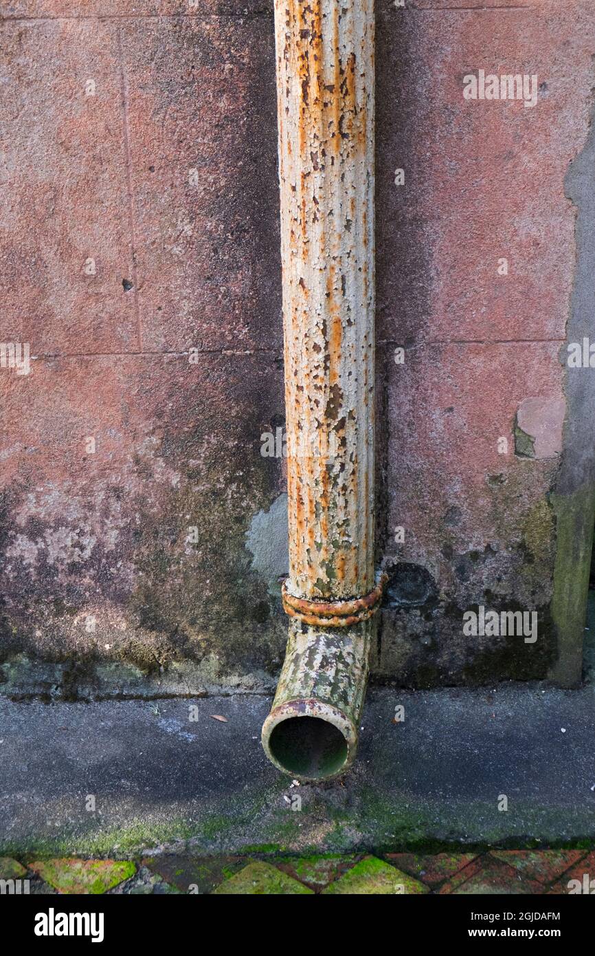 USA, Georgia, Savannah. Old water spout on building in historic ...