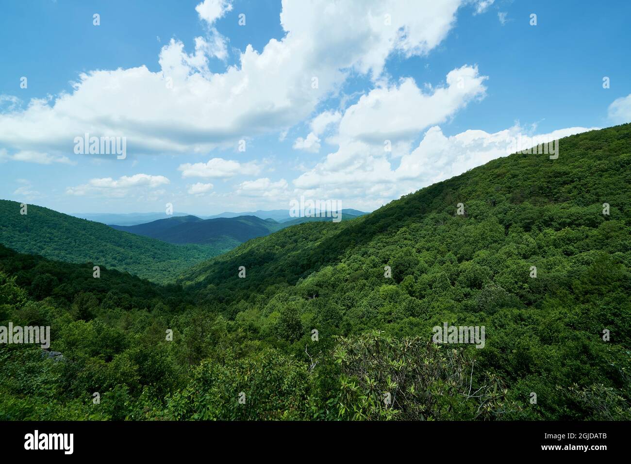 USA, Georgia, Chattahoochee National Forest. The Chattahoochee forest ...