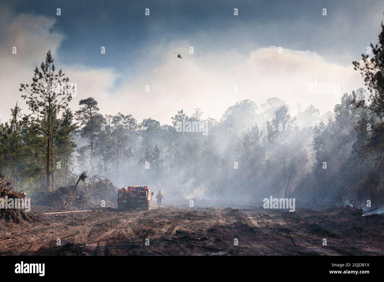 Smoke permeates the air around a forest fire Stock Photo - Alamy