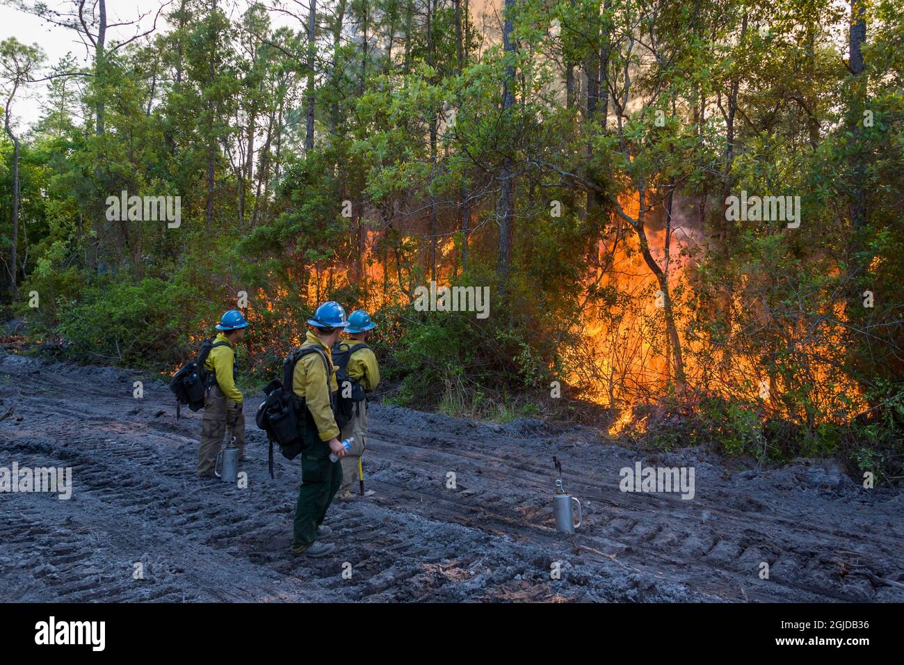 Intense heat produced by a forest fire, as firefighters look on Stock ...