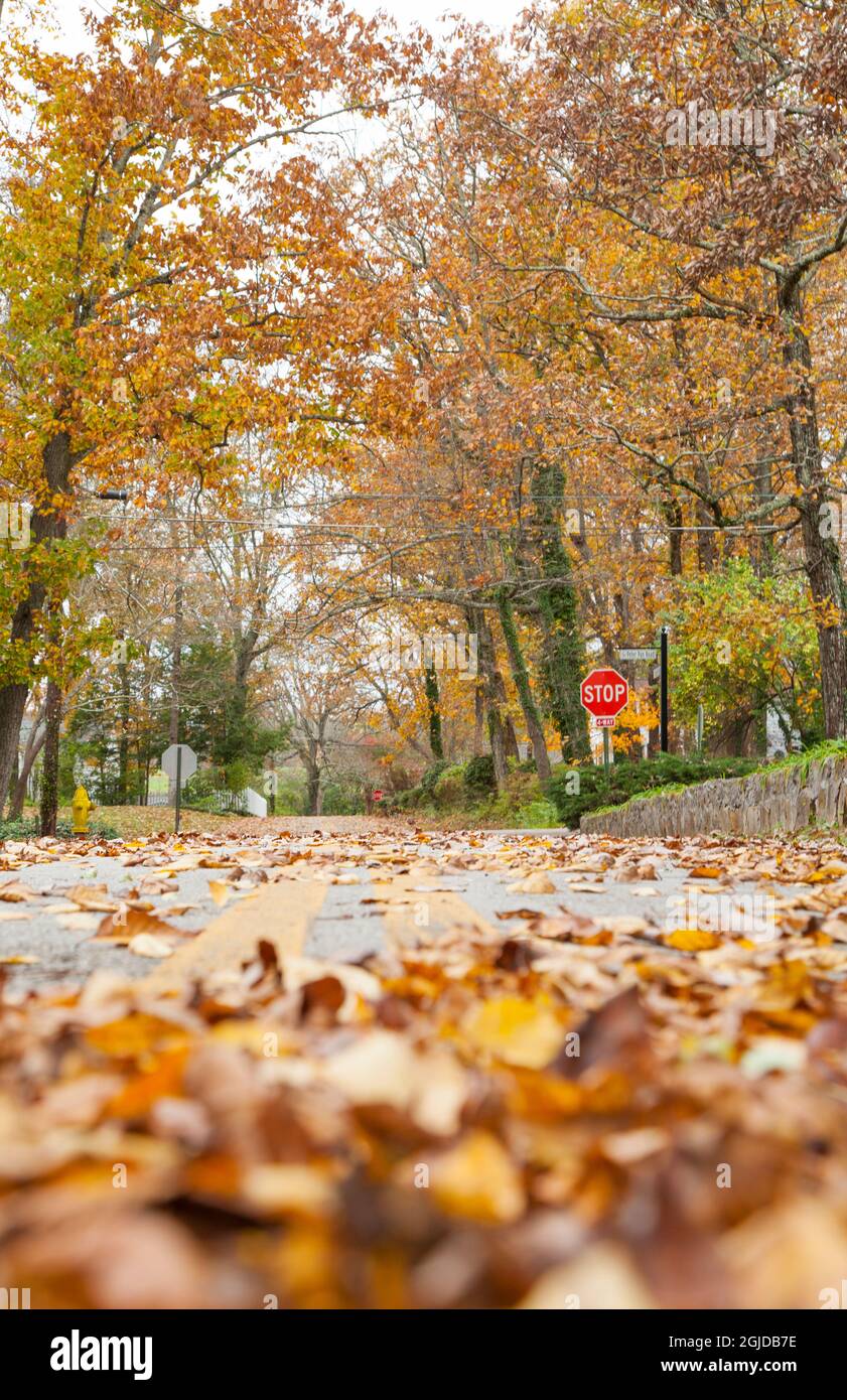 Fall colors in Lookout Mountain, Georgia Stock Photo - Alamy