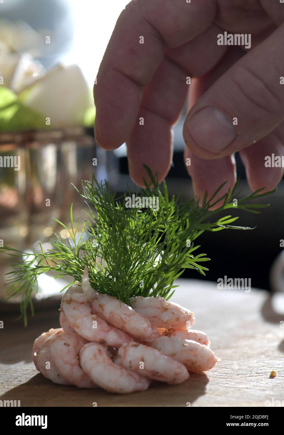Shrimp cocktail Photo: Janerik Henriksson / TT / code 10010 Stock Photo ...