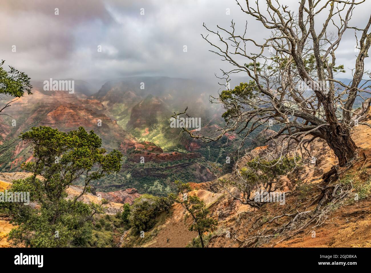 Waimea Canyon, Waimea Canyon State Park, Kauai, Hawaii, often called ...