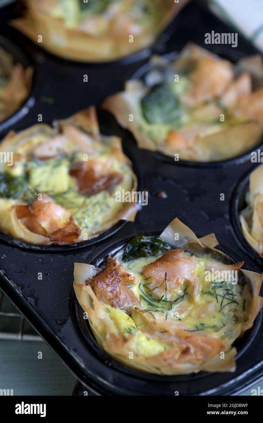 Making phyllo / filo pastries and pies. Mini pies filled with smoked ...