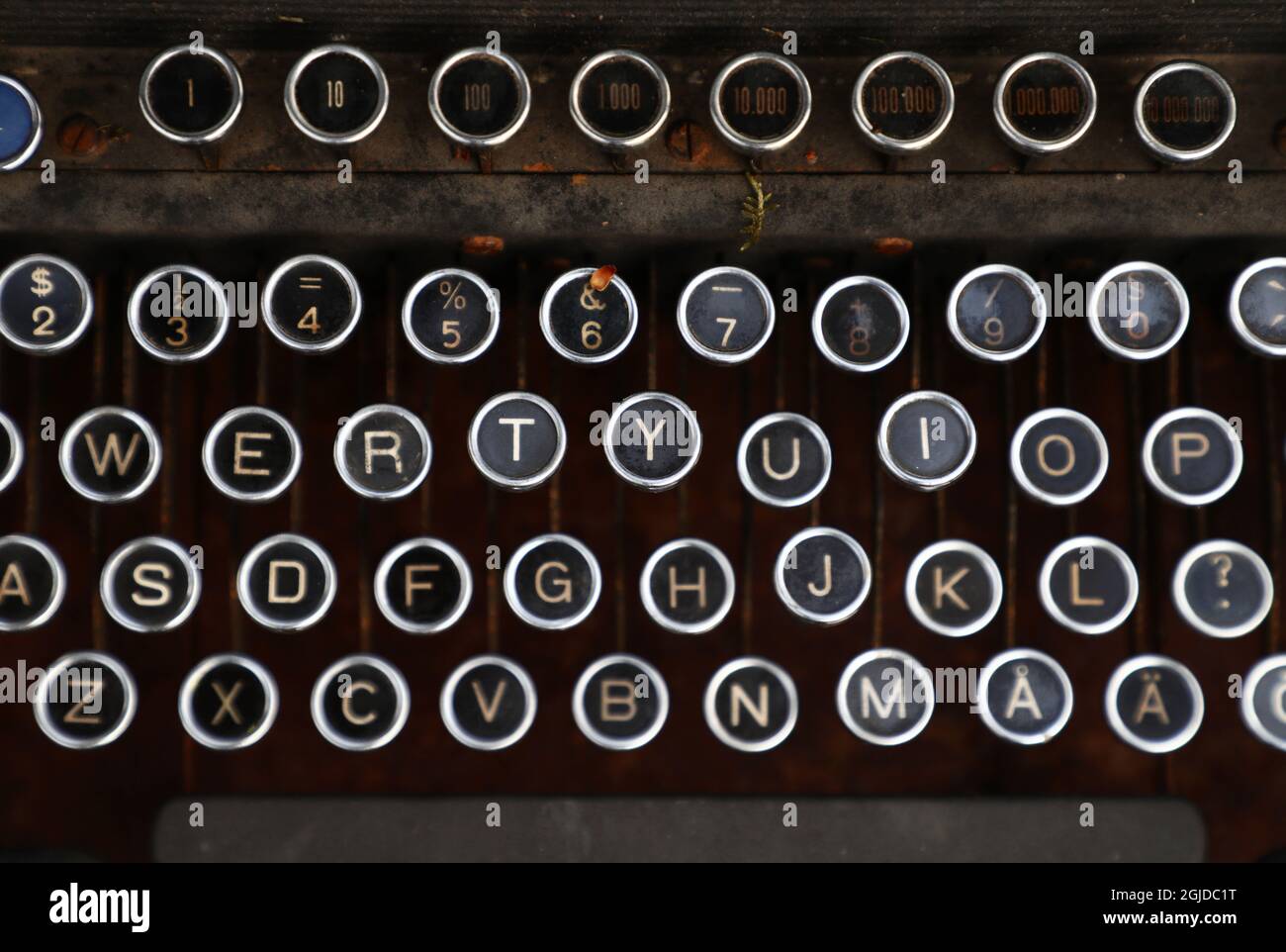 Artist Ann Brehmer has created an outdoor art exhibition in the woods ...