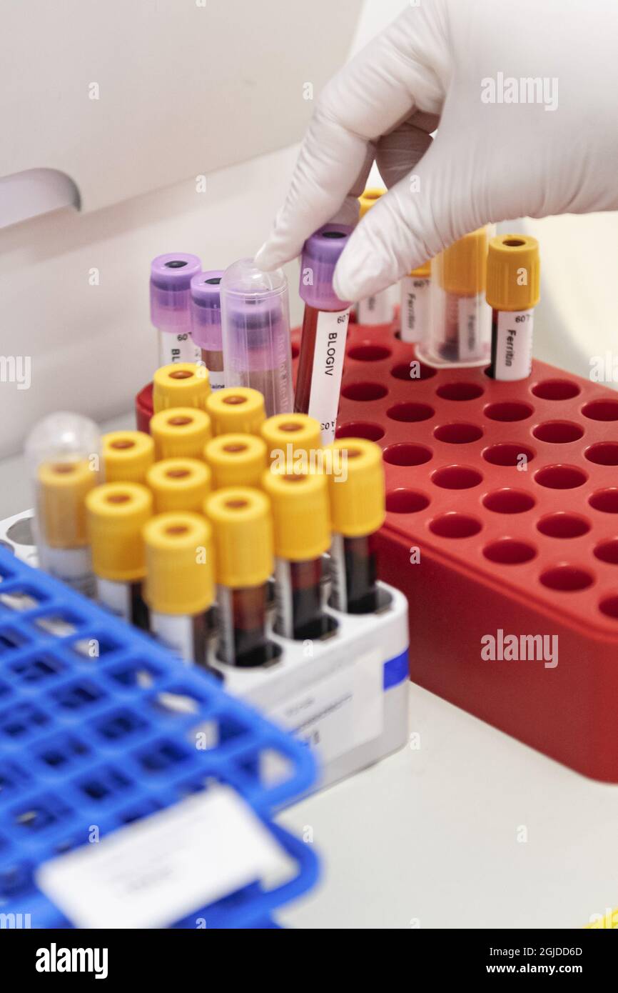 Donated blood in sample tubes waiting to be tested. Photo: Naina Helén ...