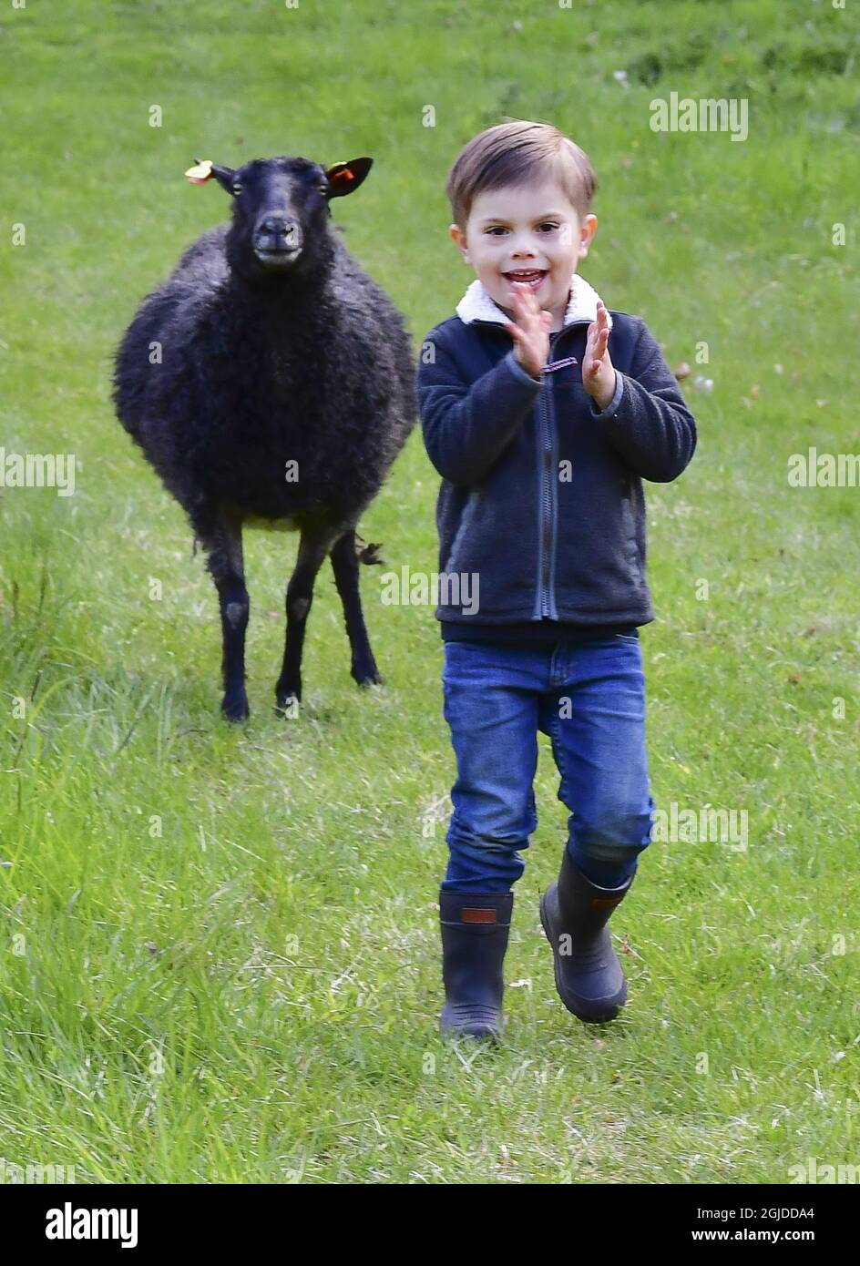 Crown Princess Victoria and Prince Oscar play with the sheep at Haga ...