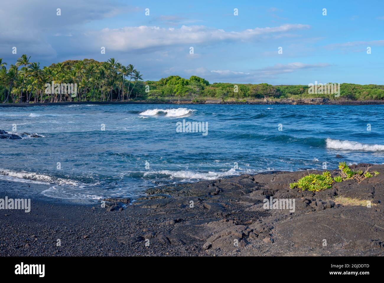 USA, Hawaii, Big Island of Hawaii. Shoreline at Punaluu Black Sand ...