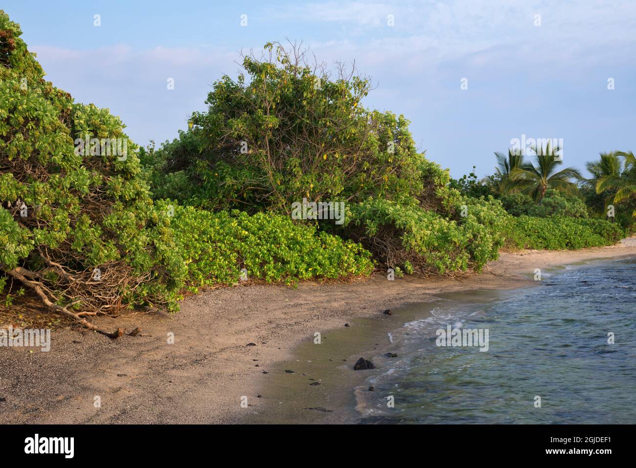 USA, Hawaii, Big Island of Hawaii. Kaloko-Honokohau National Historical ...