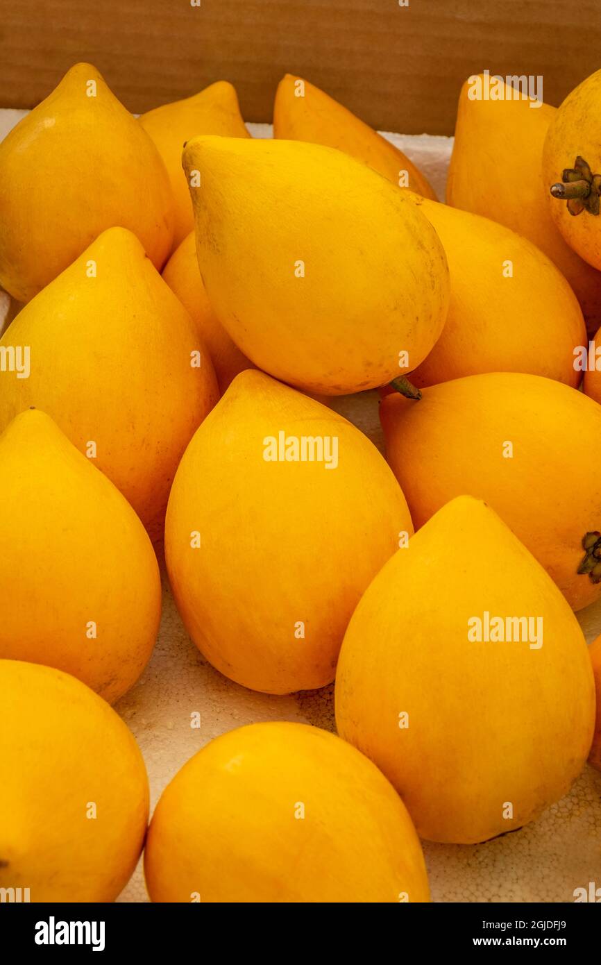 Canistel fruit hi-res stock photography and images - Alamy
