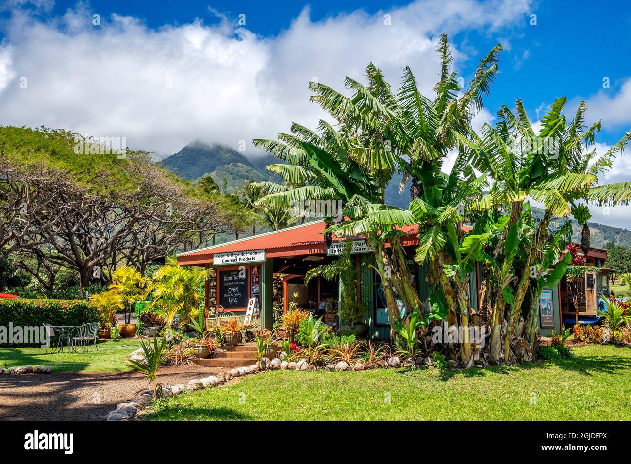 Farm Produce Hawaii at Hudson Facy blog