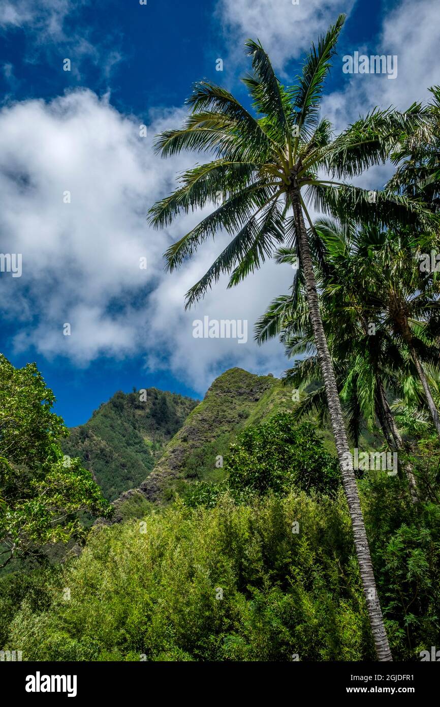 An lao valley hi-res stock photography and images - Alamy