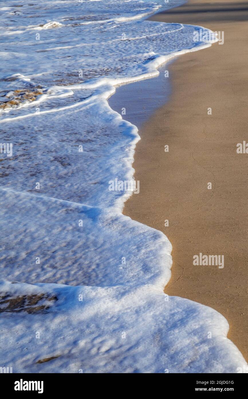Sea foam on the beach Stock Photo - Alamy