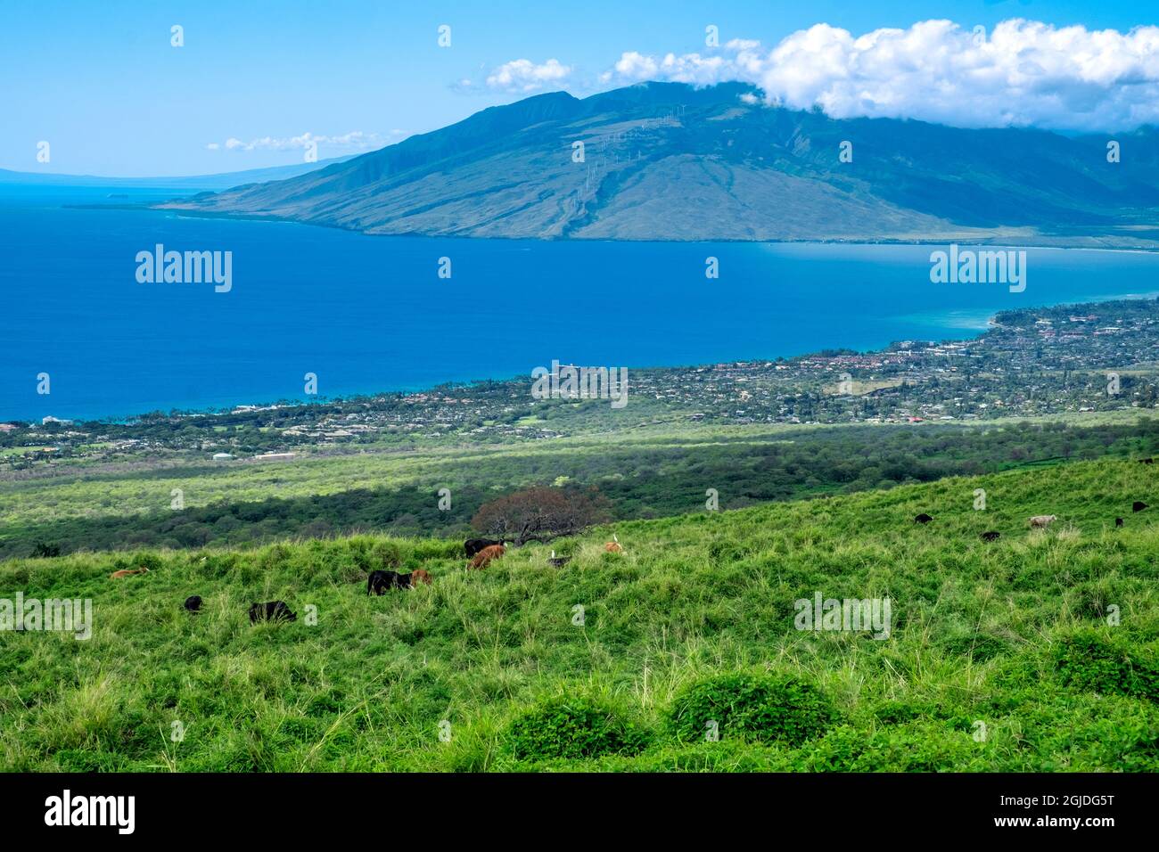 View of Ma'alaea, Maui, Hawaii, USA Stock Photo - Alamy