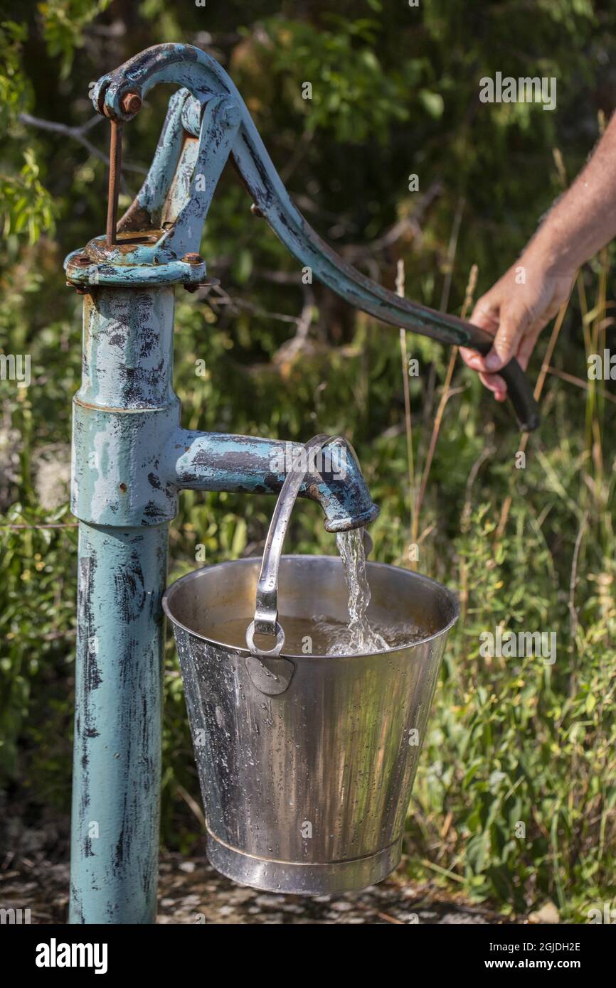 Water is pumped from a water pump into a bucket Photo: Fotograferna ...