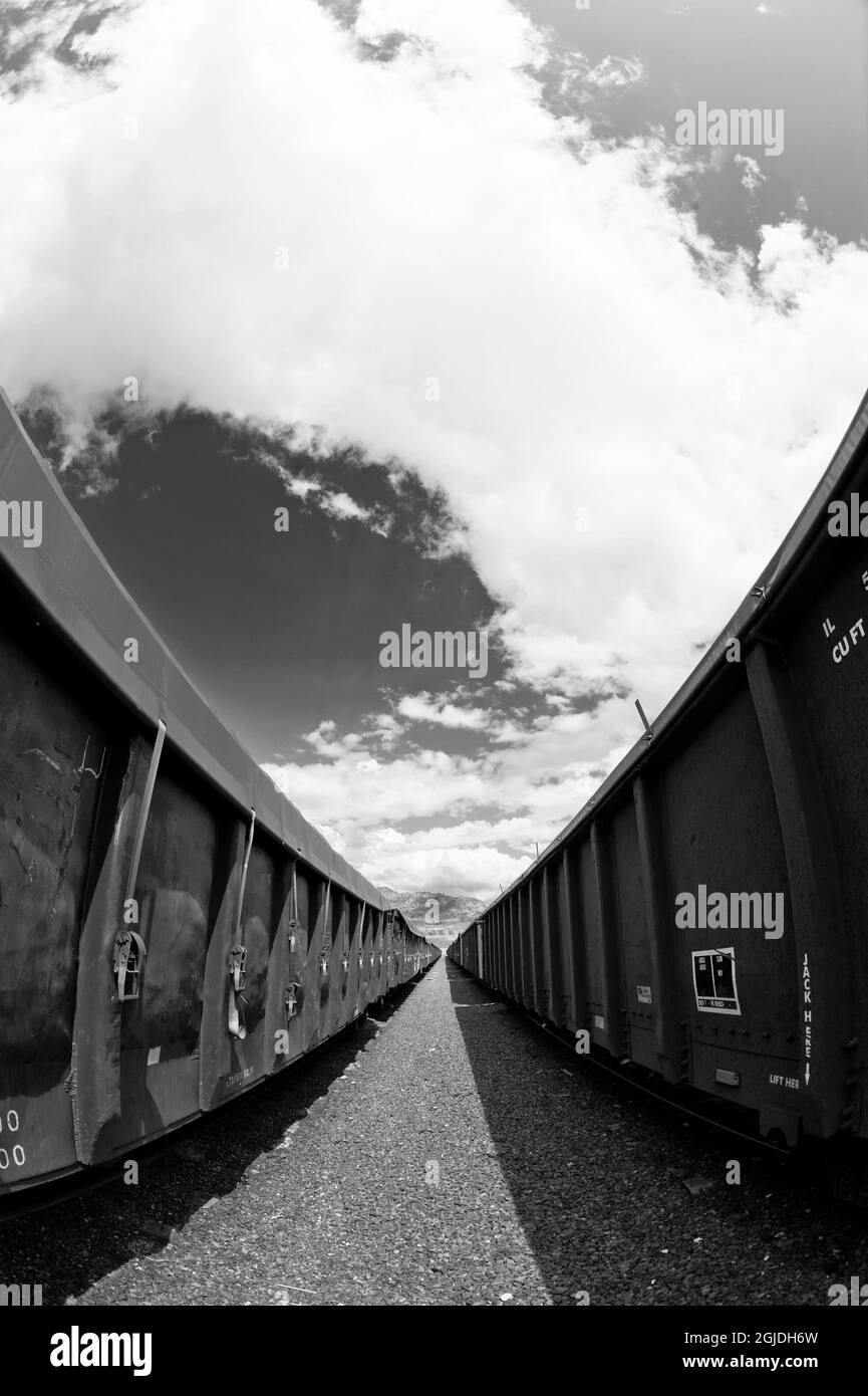 Beautiful botanical garden building Black and White Stock Photos ...