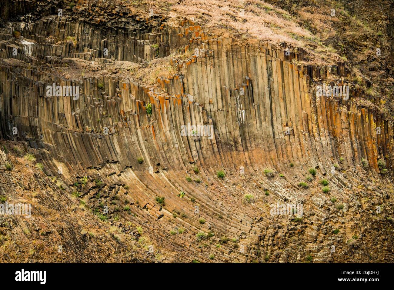 USA, Idaho. Hells Canyon, columnar basalt joining and Permian rhyolite ...