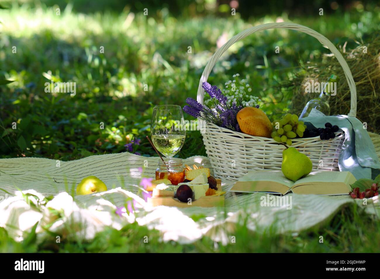 food picnic in nature on green grass Stock Photo - Alamy