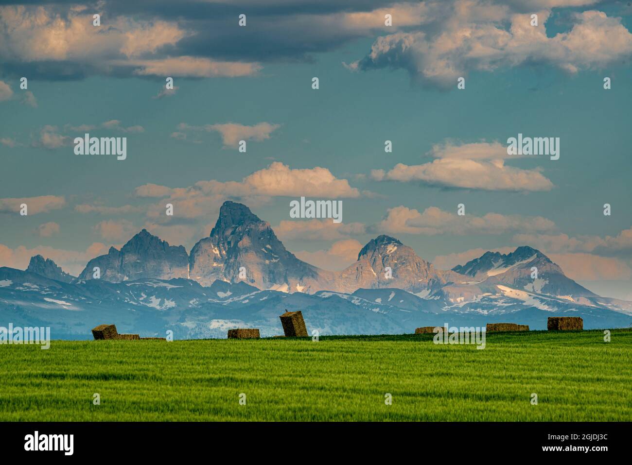 Hay bales and Teton Mountains, Ashton, Idaho Stock Photo - Alamy