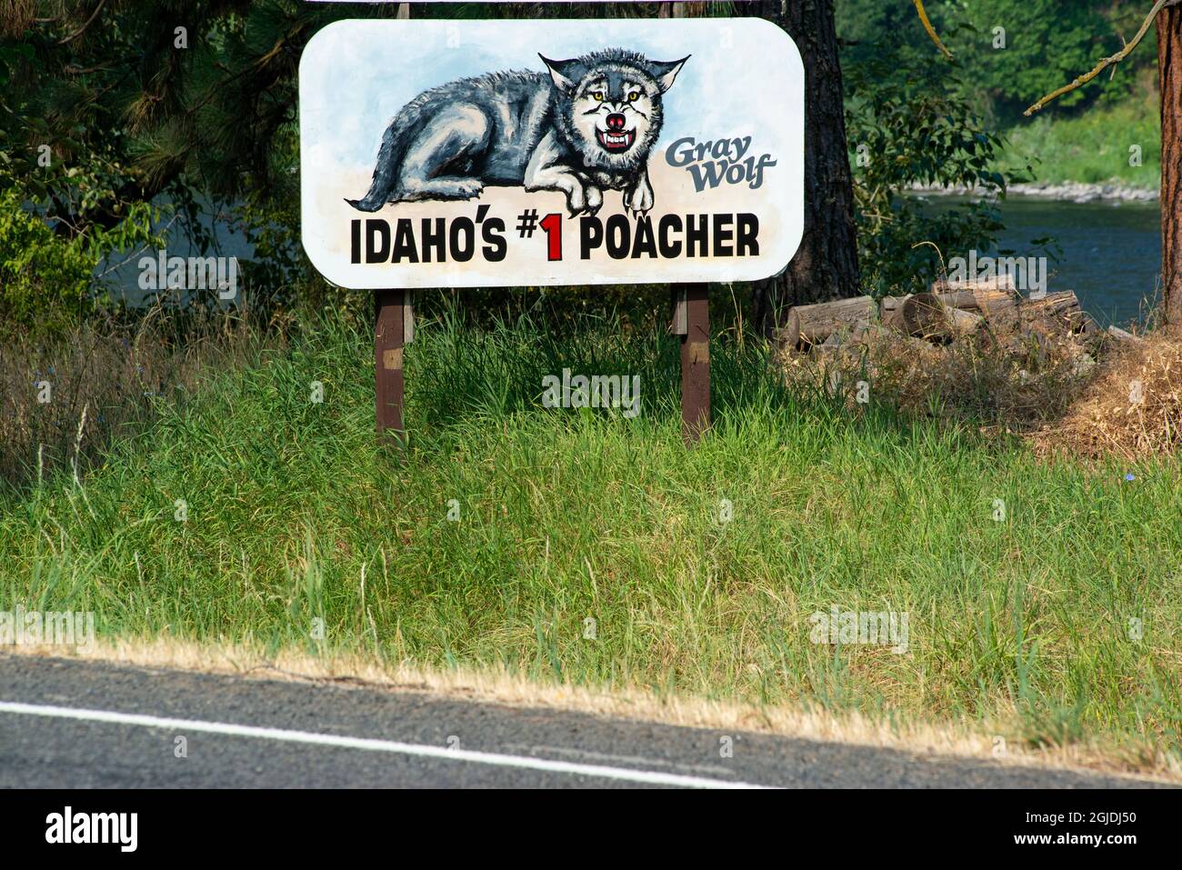 Anti-wolf sign along road in rural, Idaho Stock Photo - Alamy