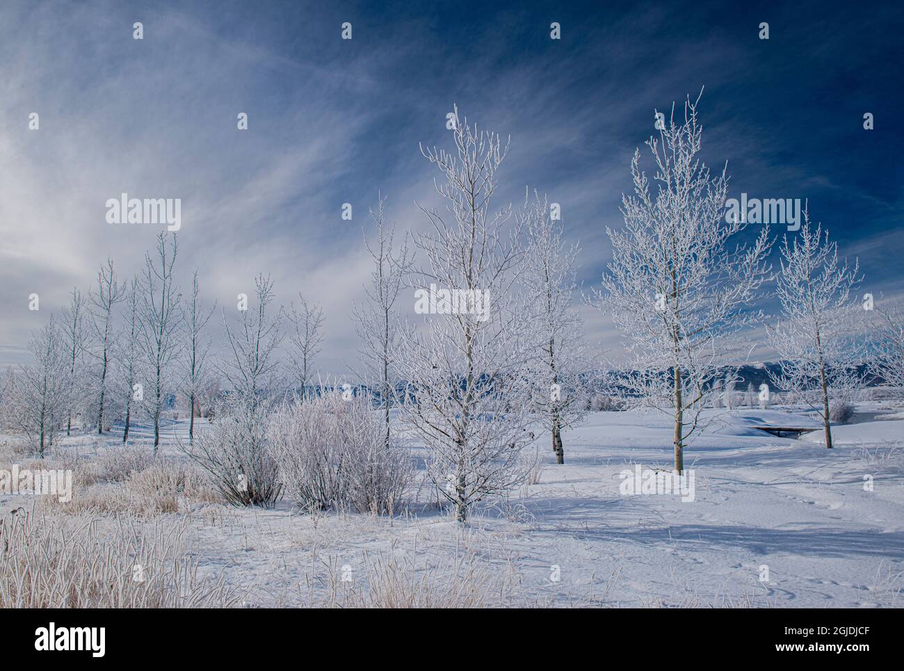 Rimed snow hi-res stock photography and images - Alamy
