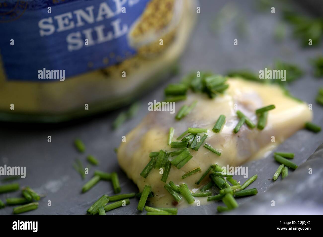 Herring Photo: Janerik Henriksson / TT / code 10010 Stock Photo - Alamy