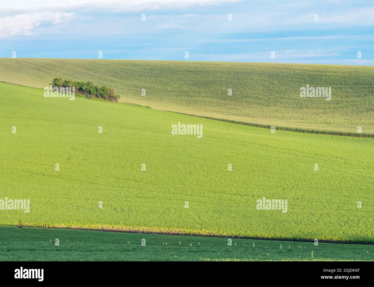 Spring farm fields hi-res stock photography and images - Alamy