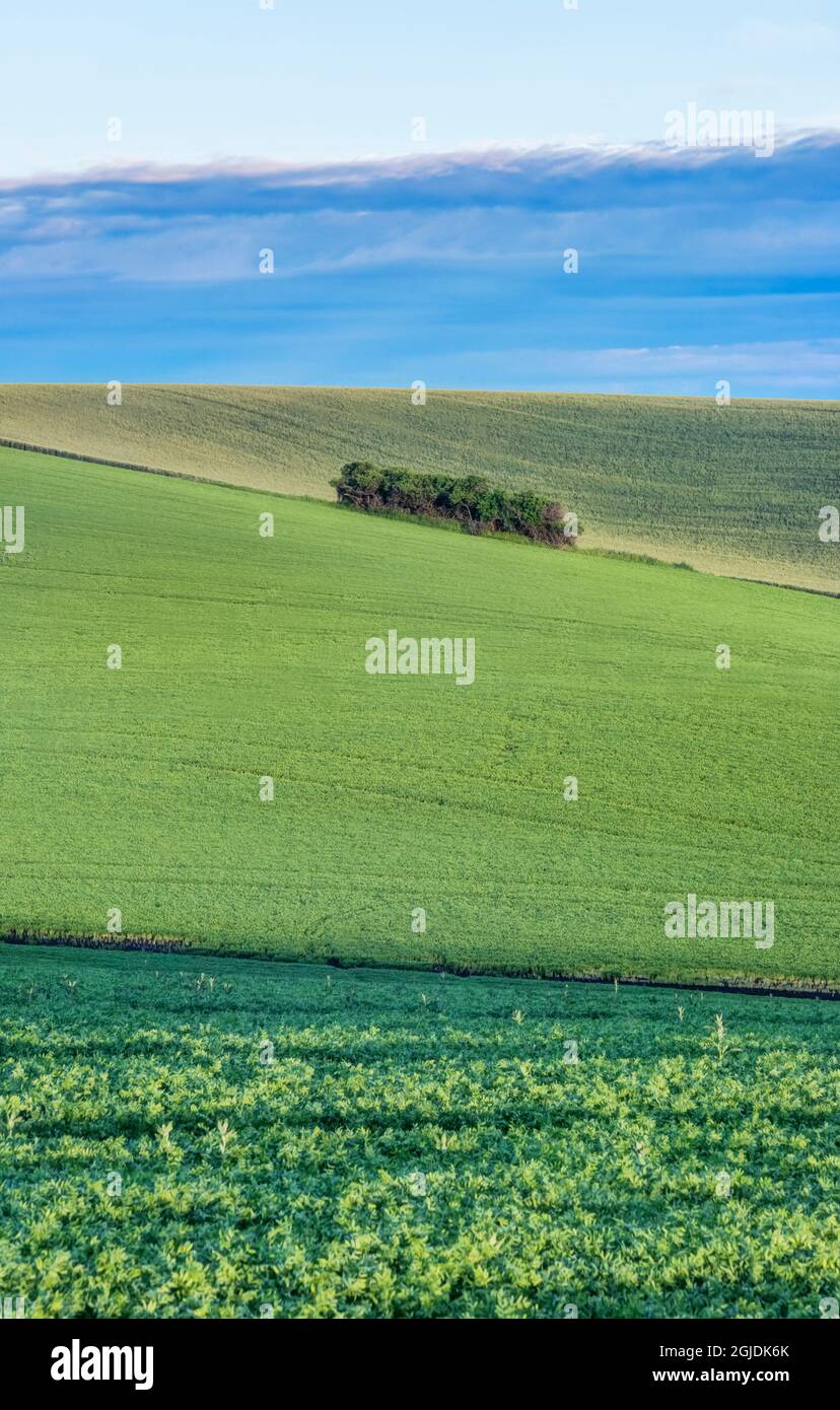 Spring farm fields hi-res stock photography and images - Alamy
