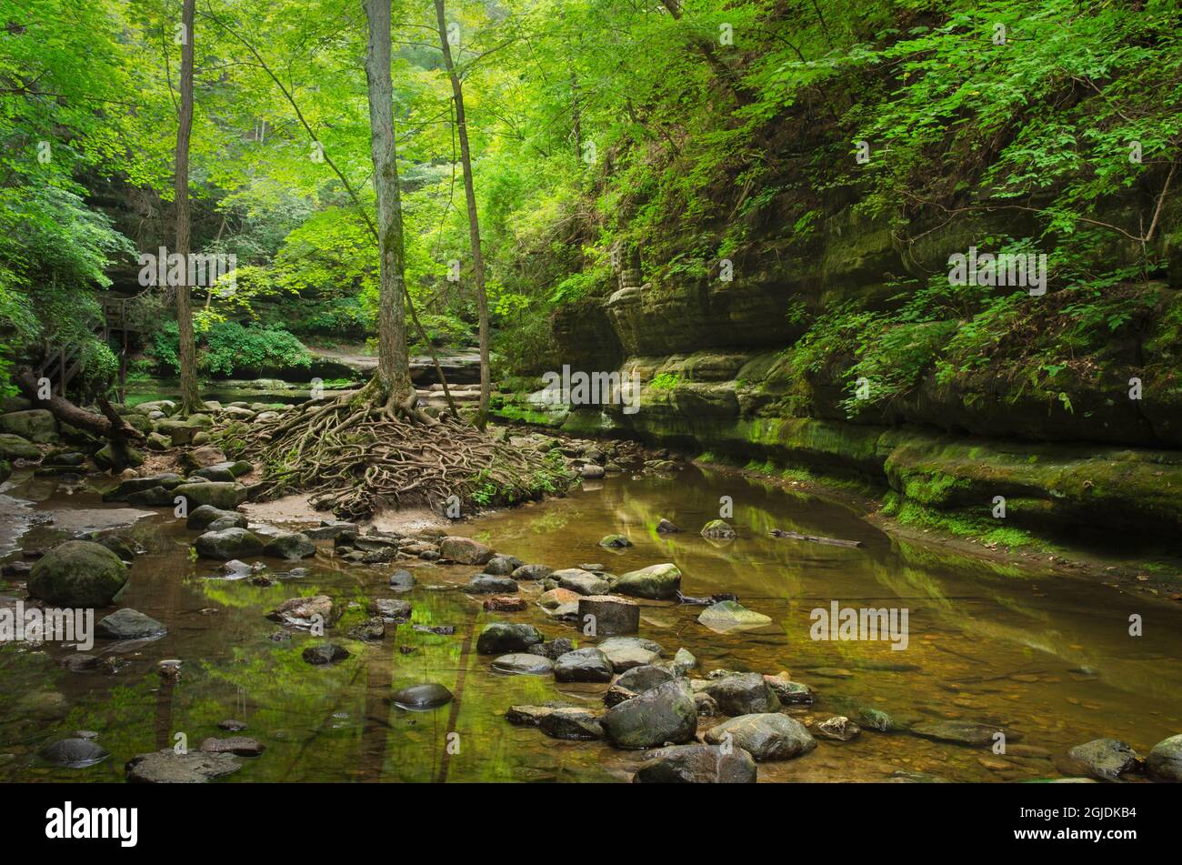 Matthiessen State Park, Illinois. Creek running through Dells area ...