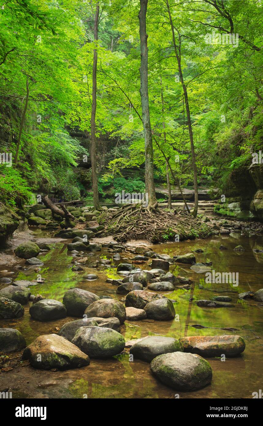 Matthiessen State Park, Illinois. Creek running through Dells area ...
