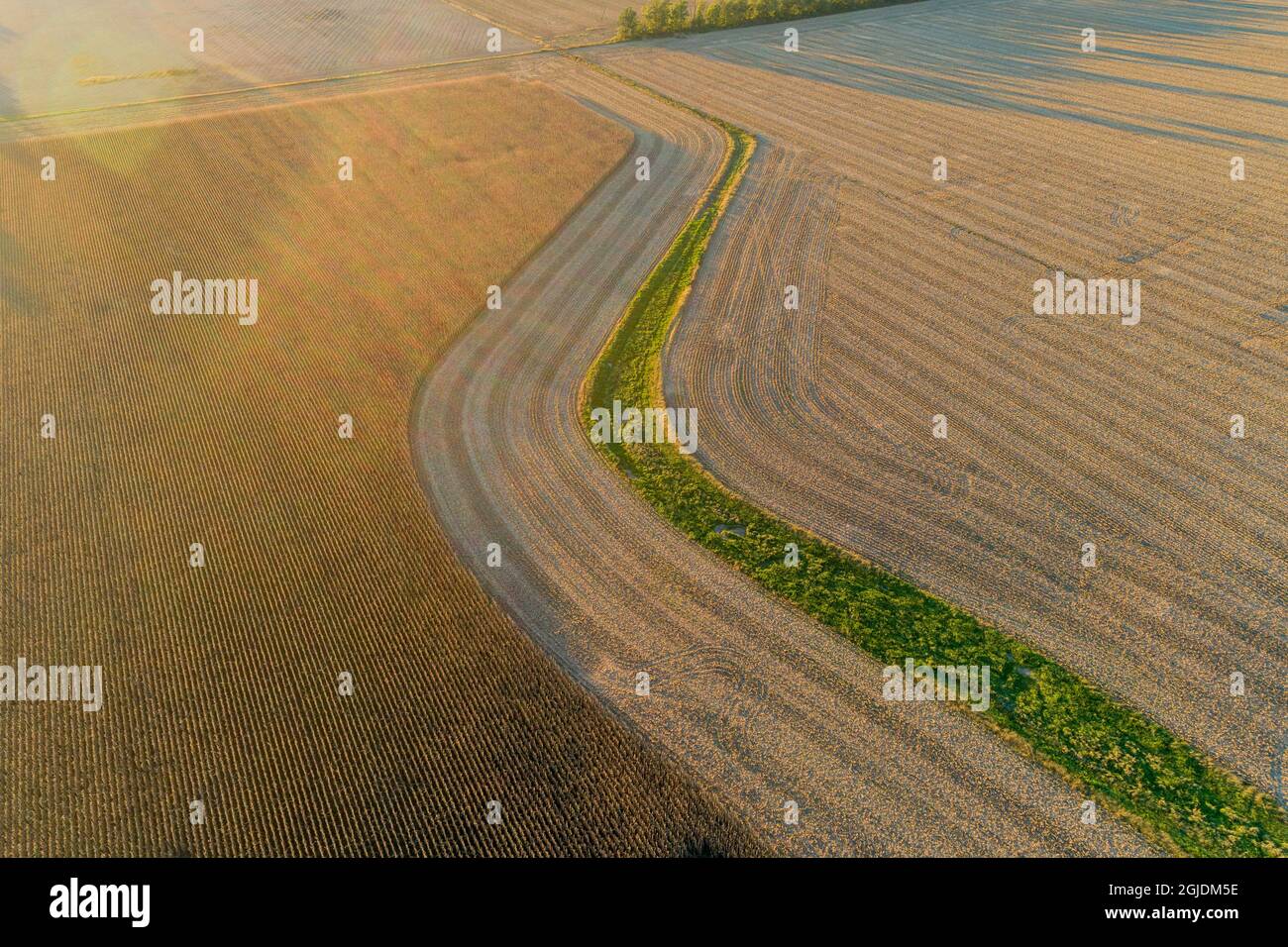 Partially harvested corn field in fall, Marion County, Illinois Stock ...