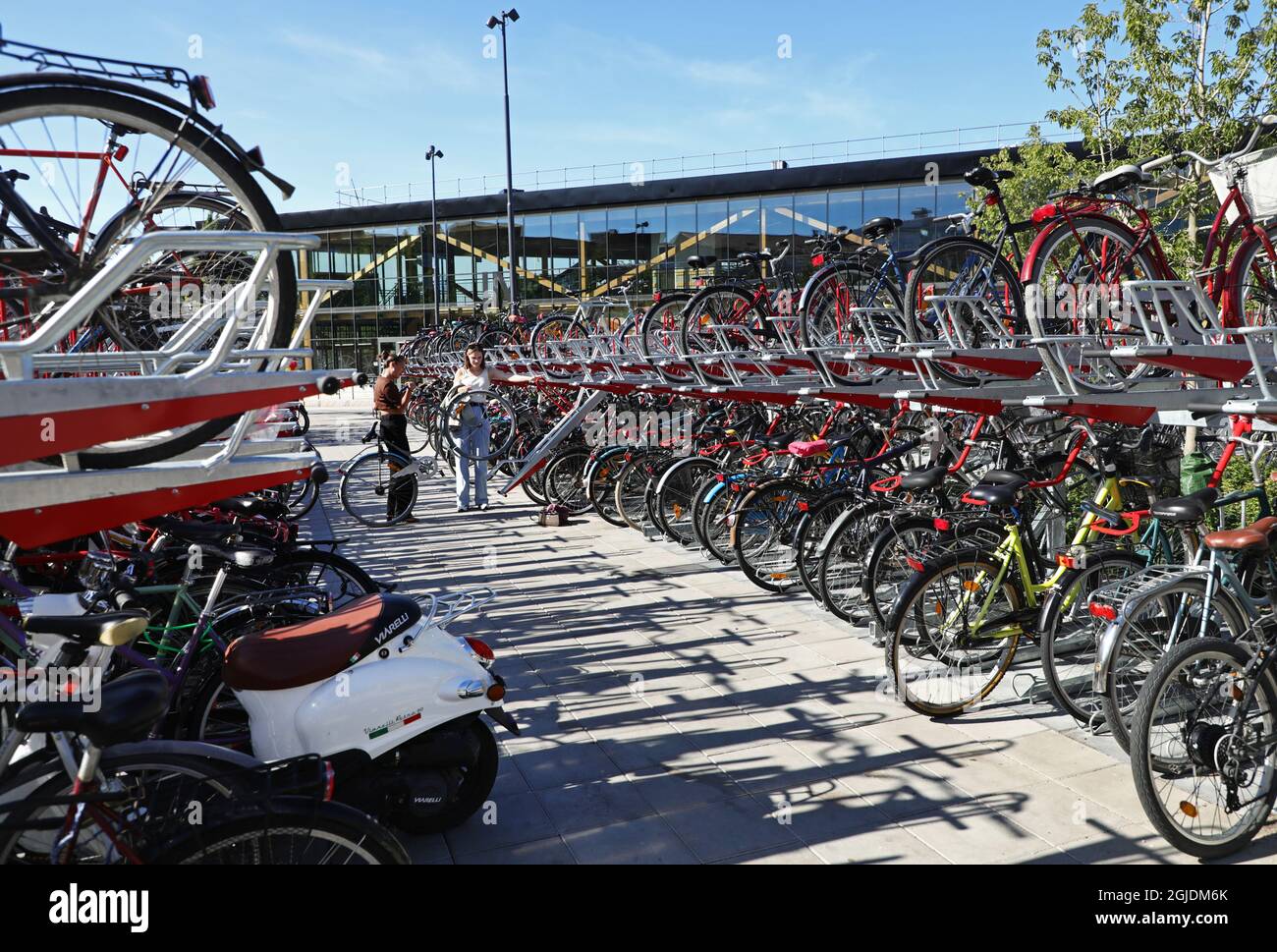 Bicycles parked in a two tier bike rack Photo Jeppe Gustafsson / TT / code 71935 Stock Photo - Alamy