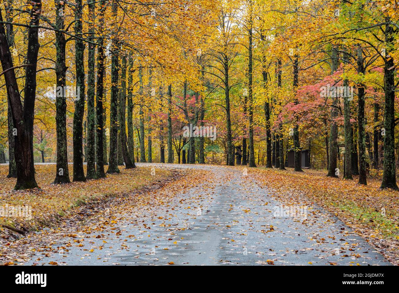 State fish and wildlife area hi-res stock photography and images - Alamy