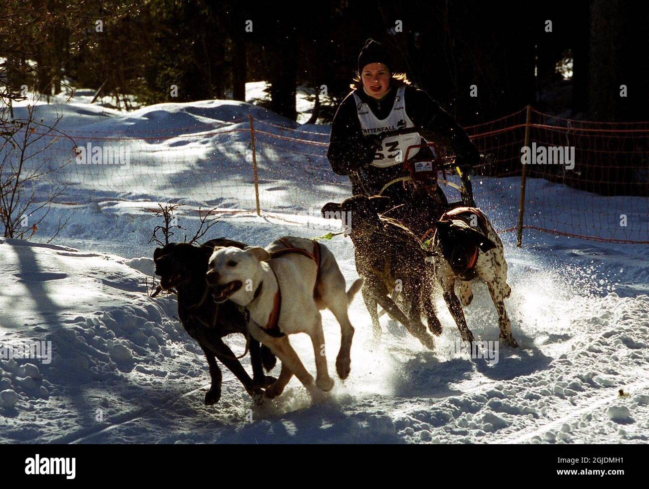 Dorthe hi-res stock photography and images - Alamy