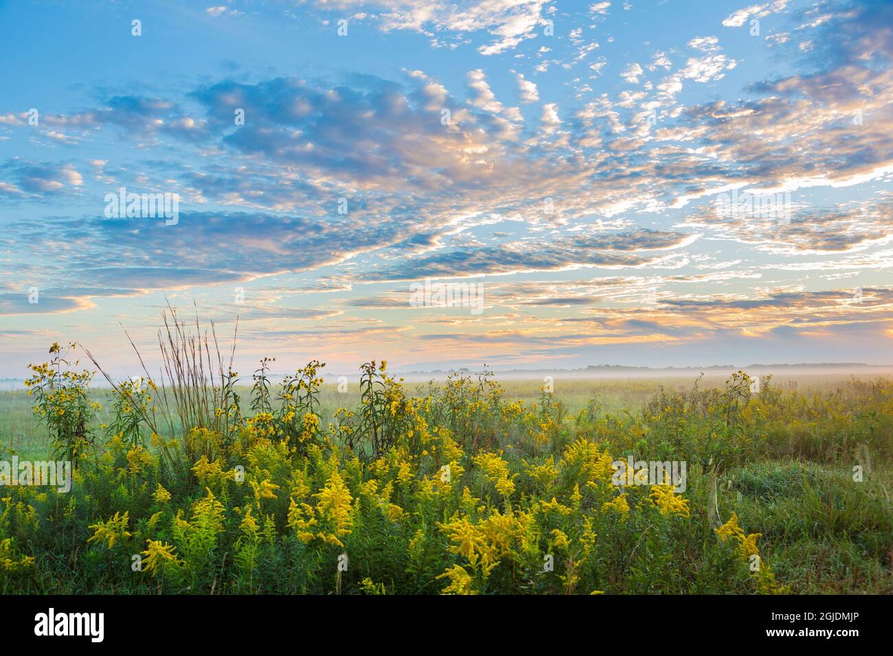 Prairie ridge hi-res stock photography and images - Alamy