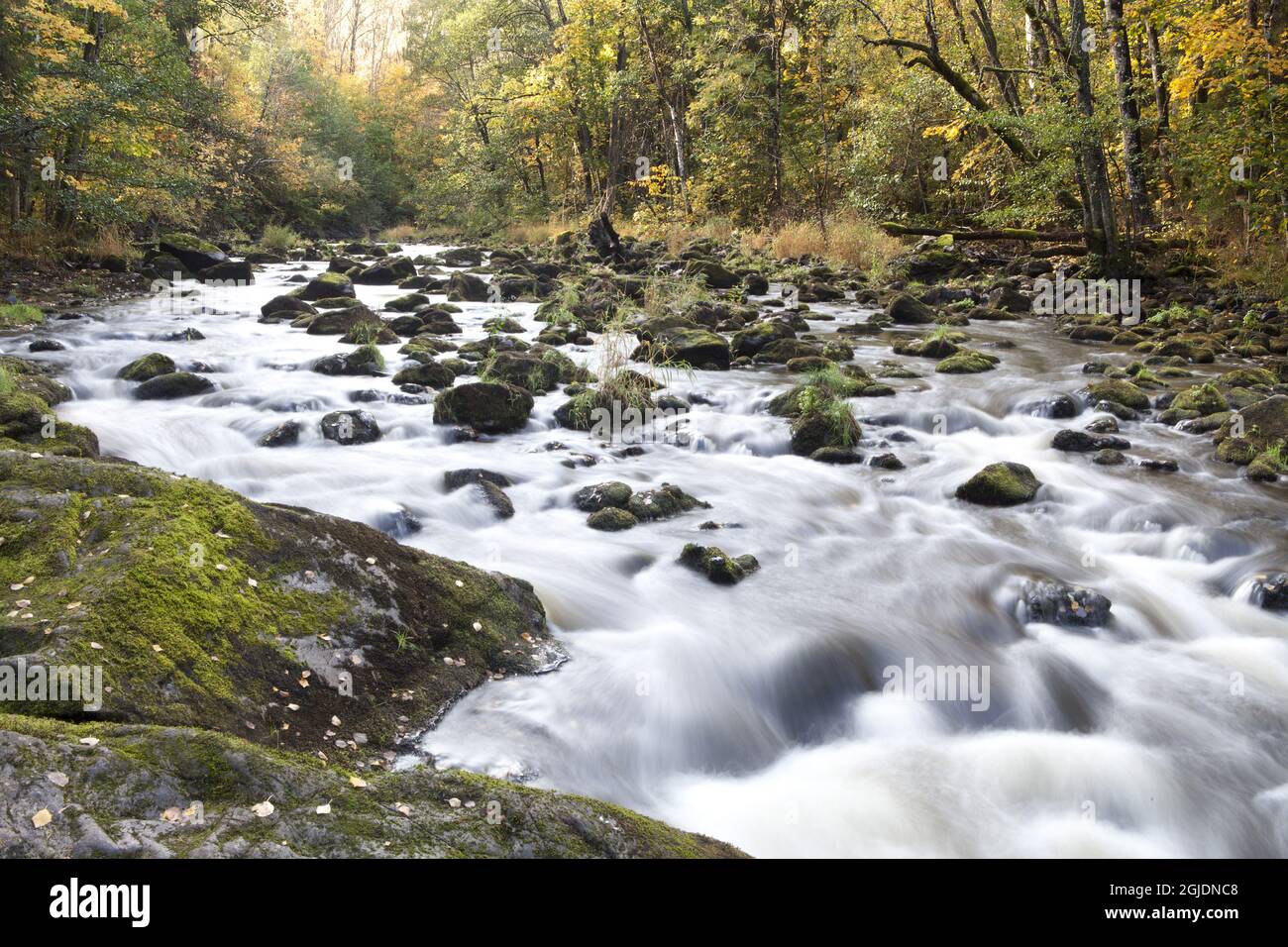 Jarlean river in Narke, Sweden. Photo: Anders Good / TT / code 2343 ...