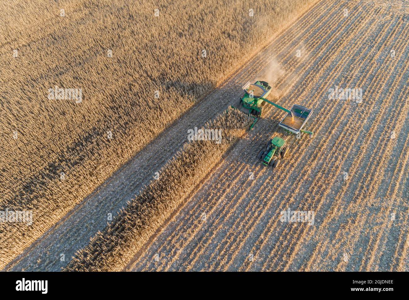 Aerial view of combine harvesting corn and unloading into grain cart ...