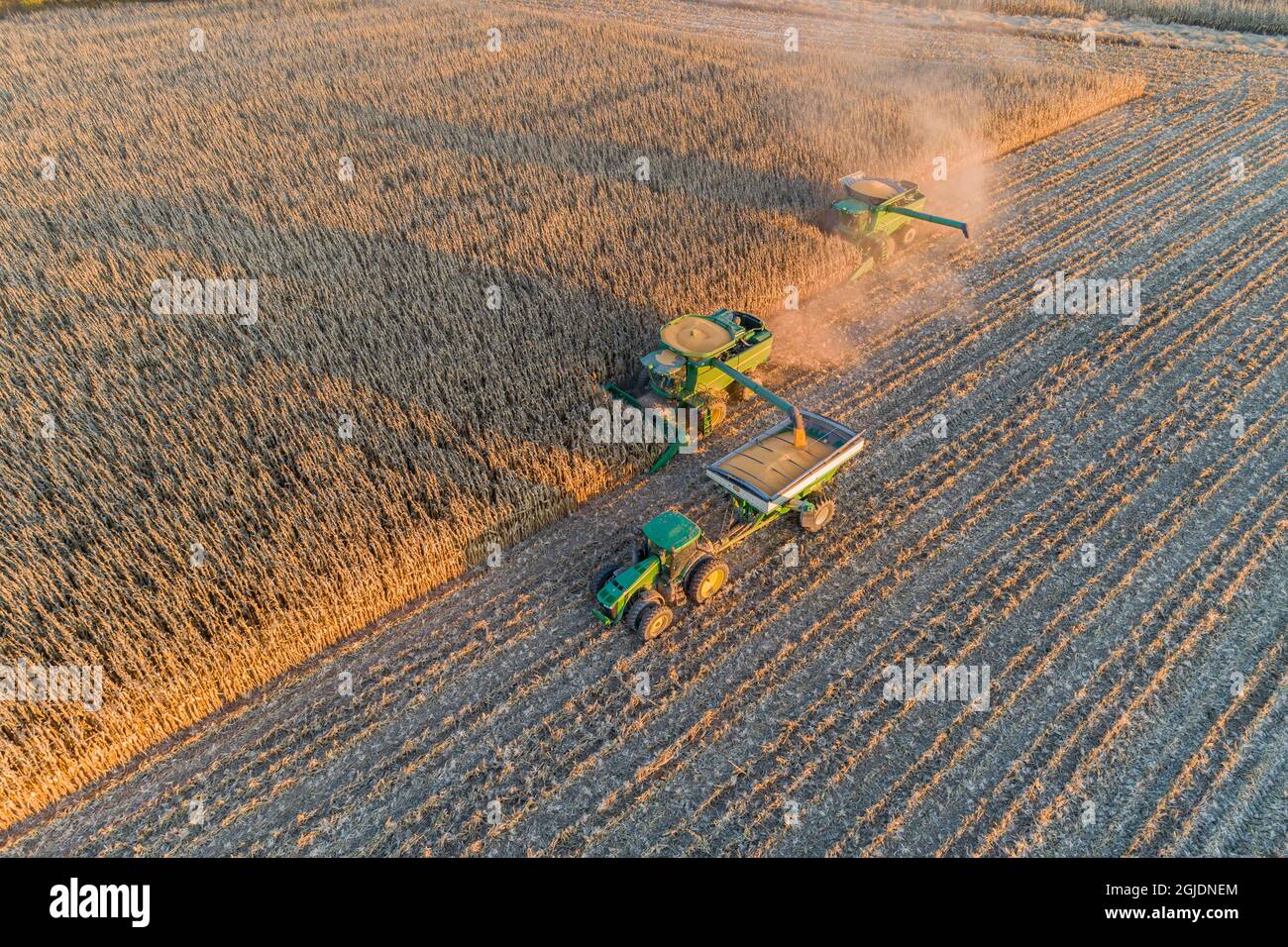 Aerial view of combines harvesting corn and unloading into grain cart ...