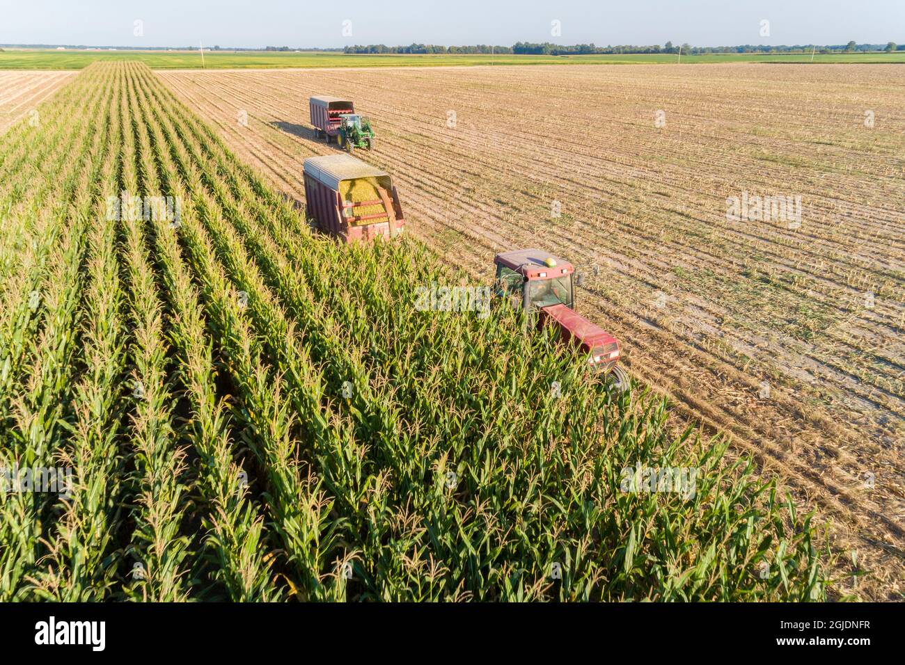 Aerial view of corn field being cut for silage, Marion County, Illinois ...