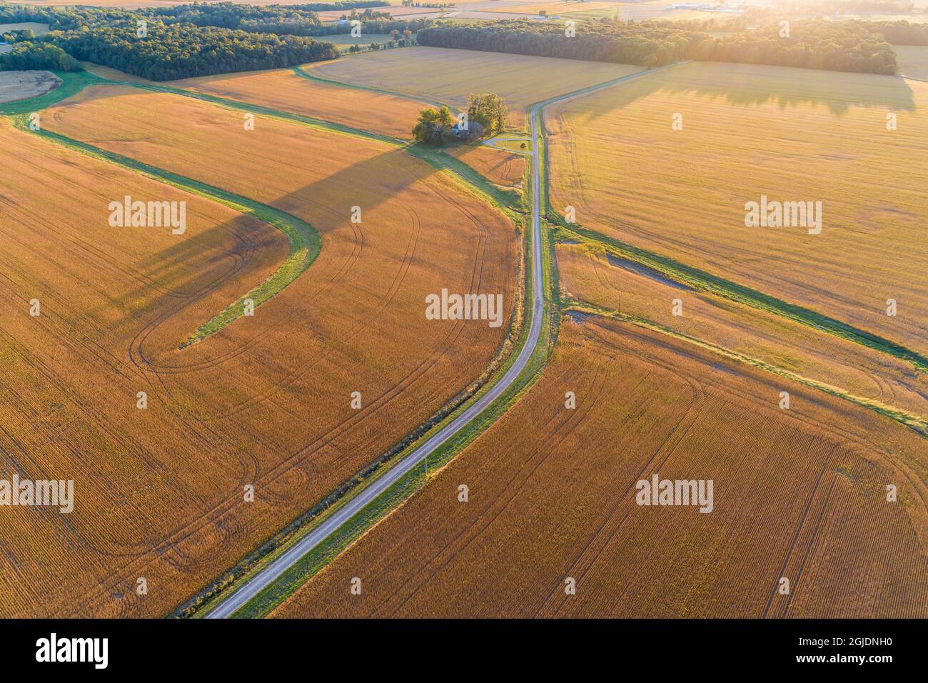 Aerial view of soybean fields and road before they're harvested, Marion ...