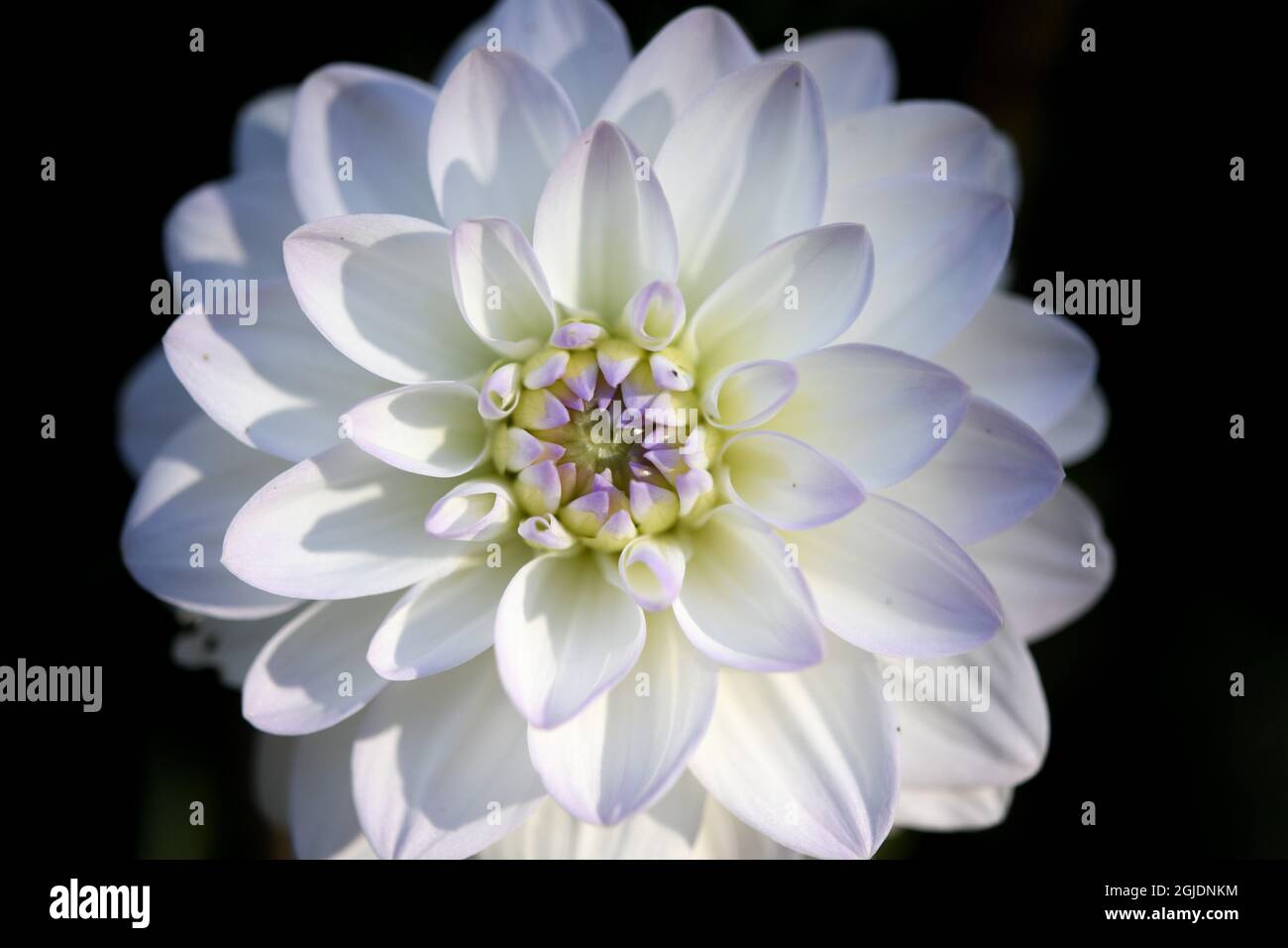 Jessica gow tt code 10070 hi-res stock photography and images - Alamy