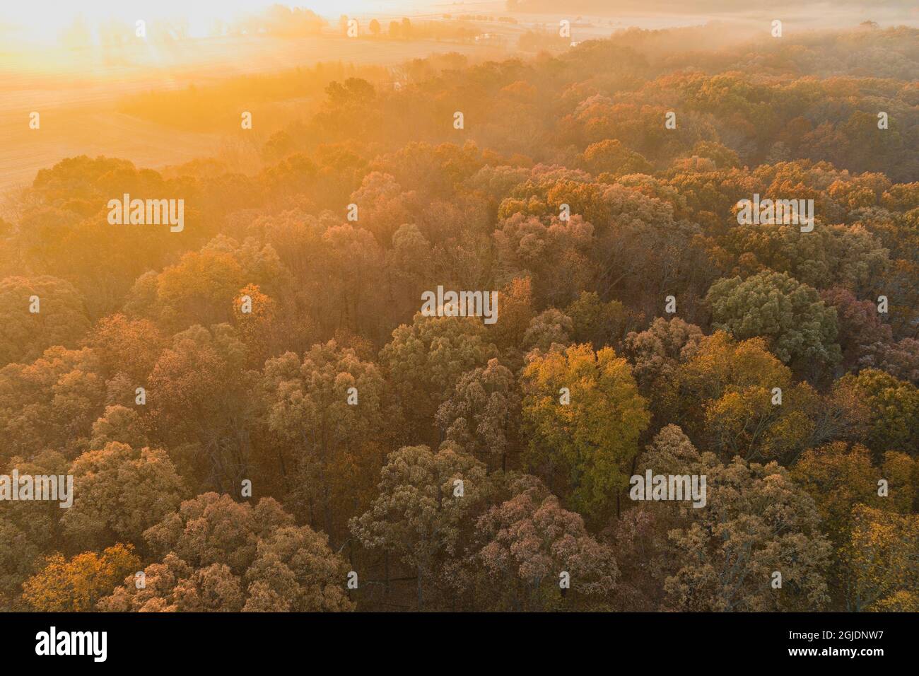 Aerial View of fall Color at sunrise, Marion County, Illinois Stock ...